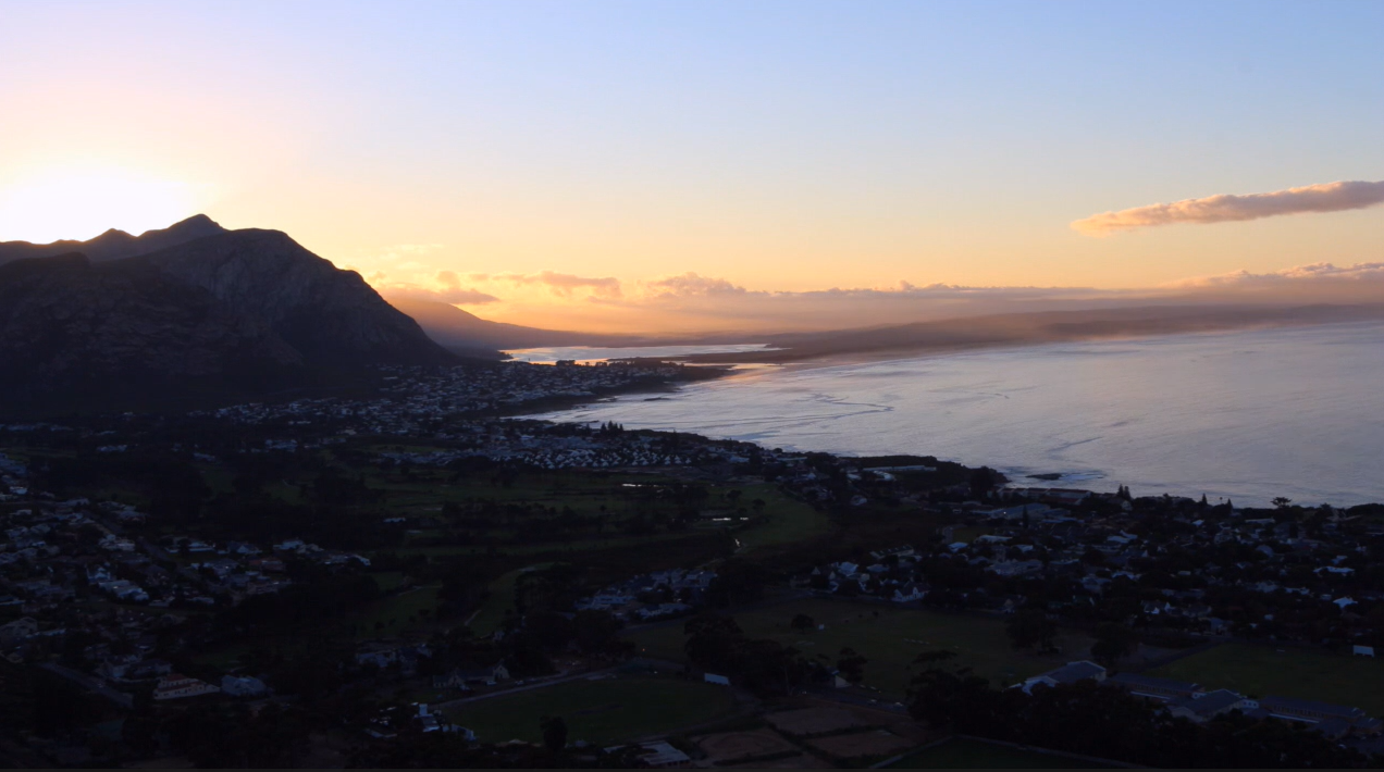 Top 10 Family-Friendly Things to Do in Hermanus - Ashventure