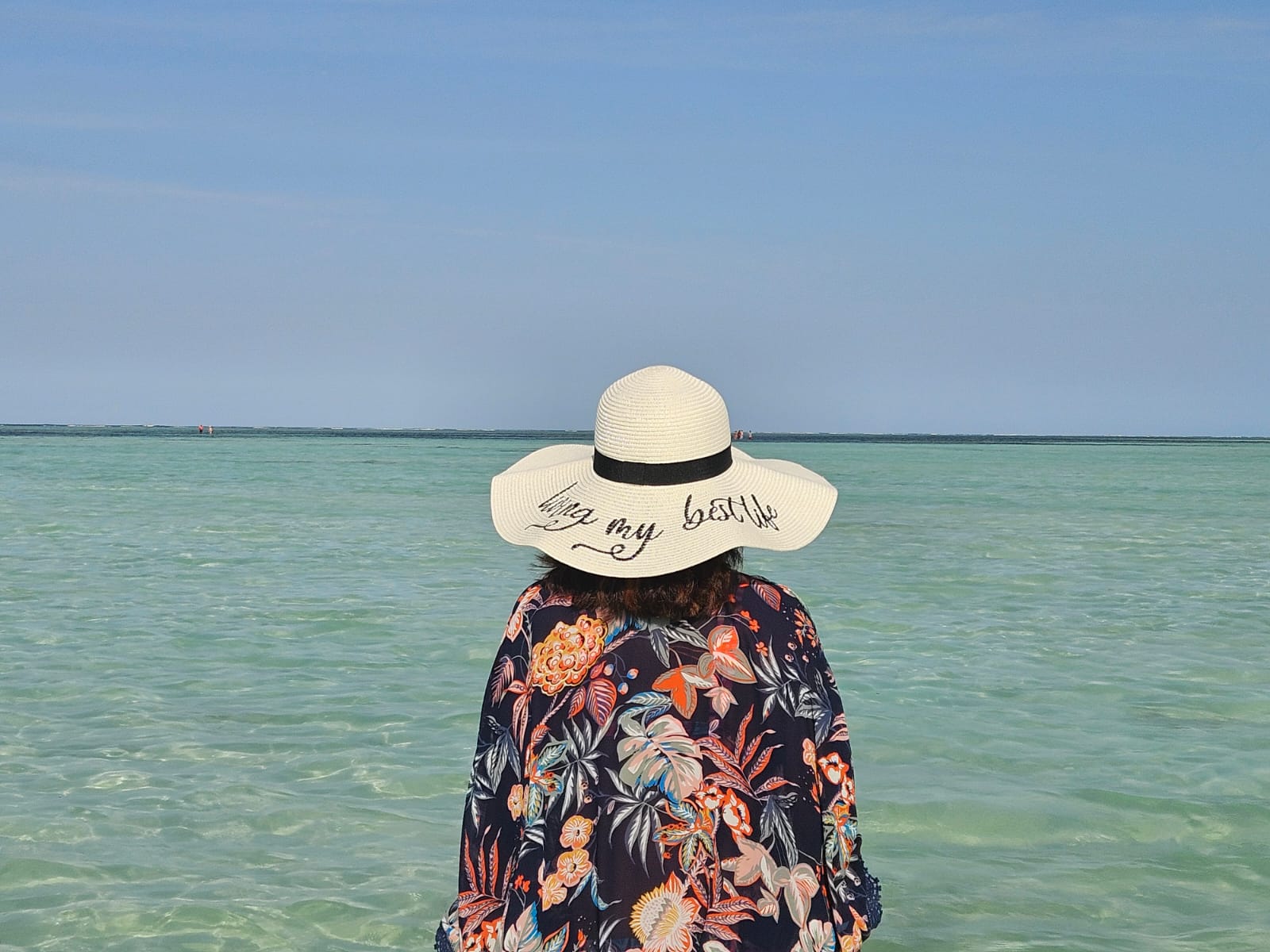 Best Time to Visit Zanzibar from South Africa - Ashventure